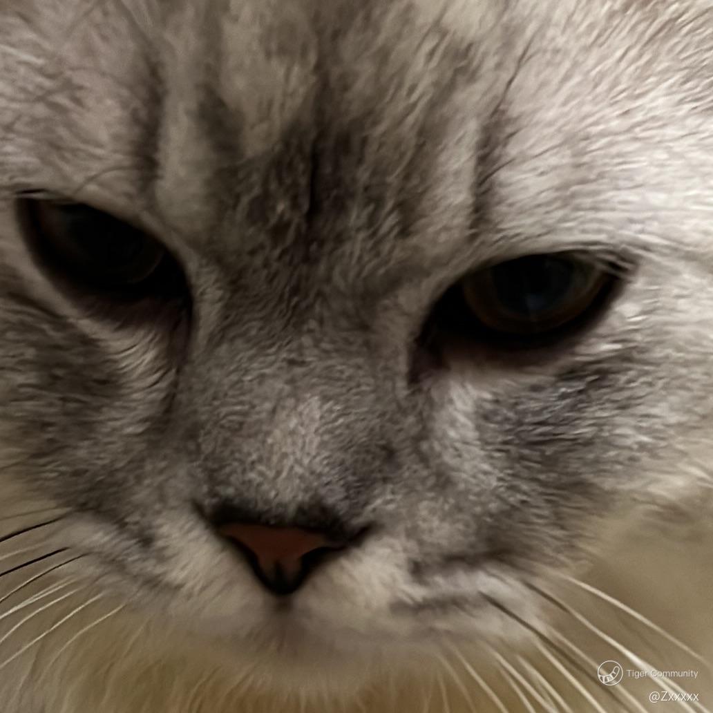 Profile - To The Moon